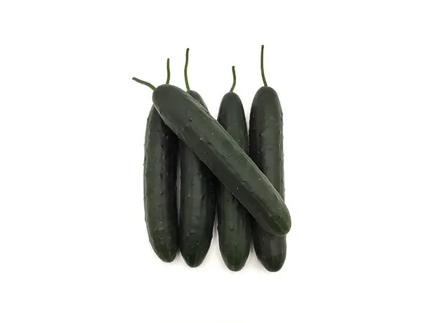 BOSTAN F1 SALTALIK ( HIYAR ) TOHUMU