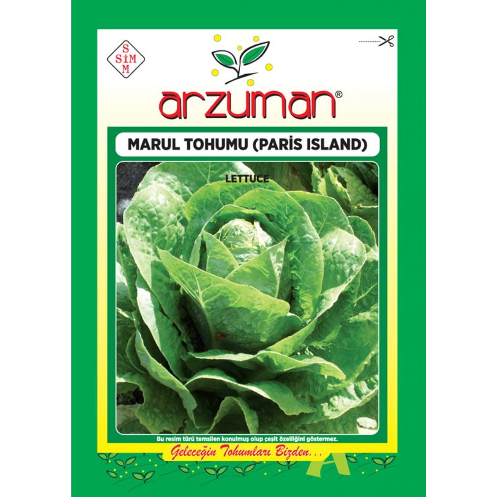 Arzuman Paris Island Marul Tohumu